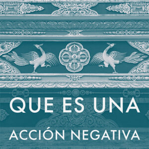 ¿QUE ES UNA ACCIÓN NEGATIVA? - Nagarjuna Valencia